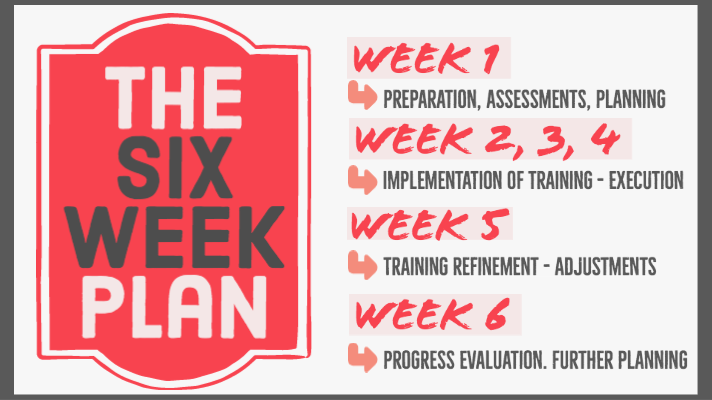The 6 Week Plan | TFA (Training for Acro)